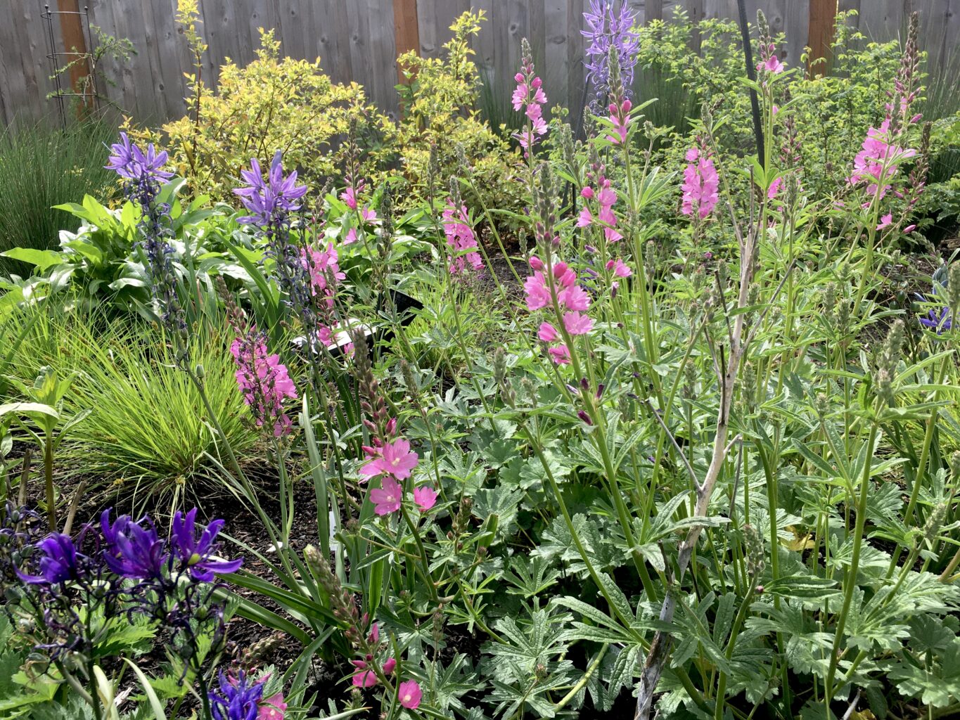 3 Principles of Garden Design I Learned as a Kid: The Whole Gardens ...