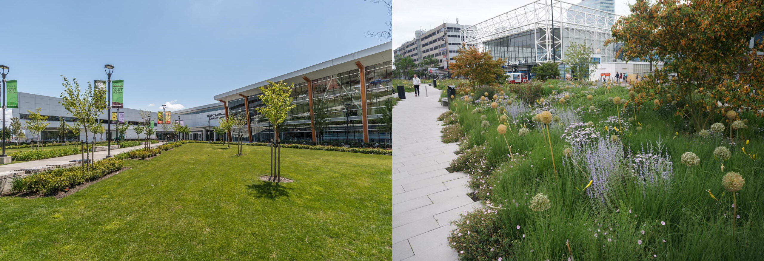 Ecological Planting Design: Stunning entrance to a Community Centre ...