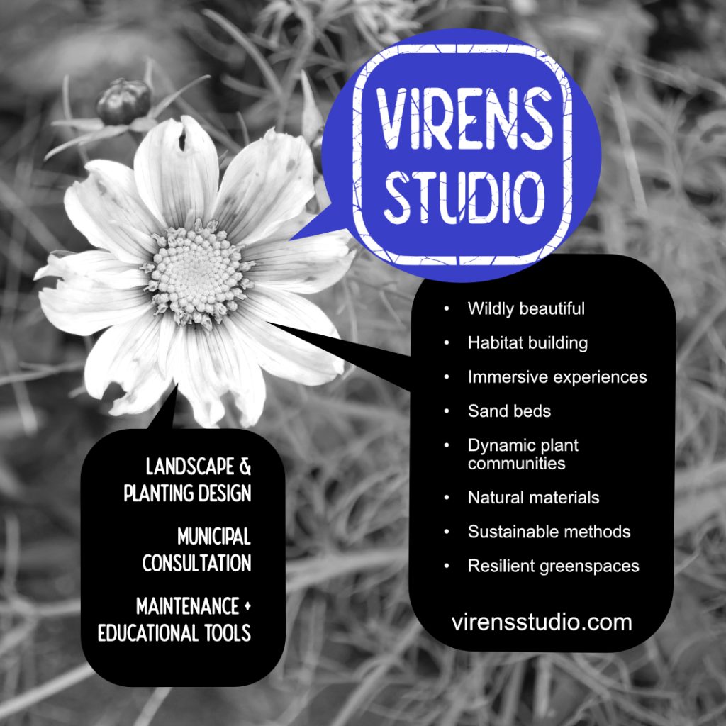 Garden Writing - Virens Studio - Horticulture Writers & Planting Design ...