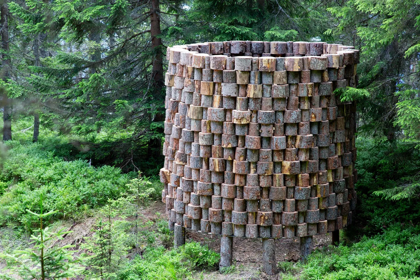 Are You a Lazy Gardener? Or, a Habitat Hero? - Virens Studio ...